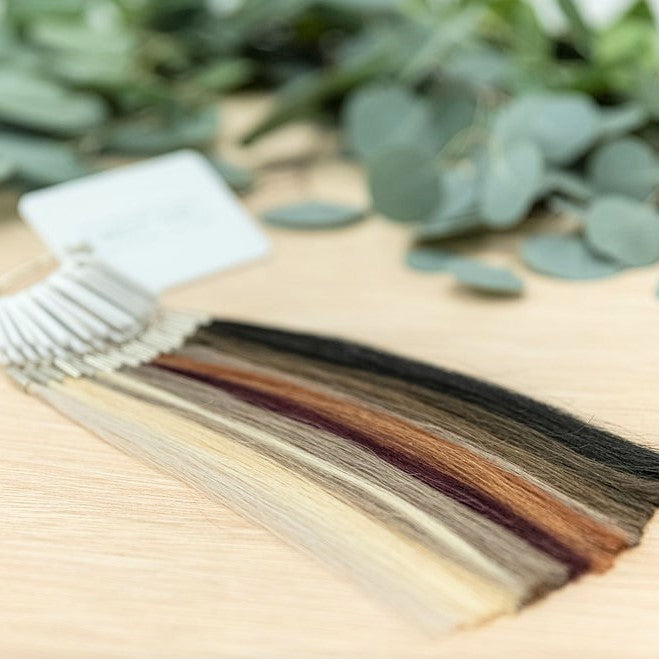 WEST IVIE Hair Color Blending Swatch Tool